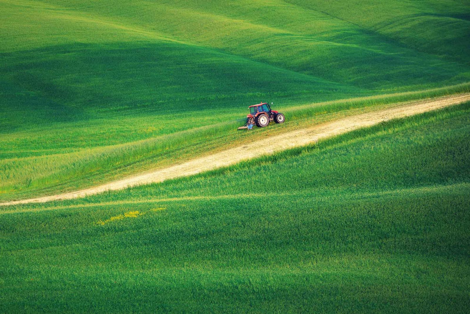 Agribio - Il Biologico come filosofia di vita