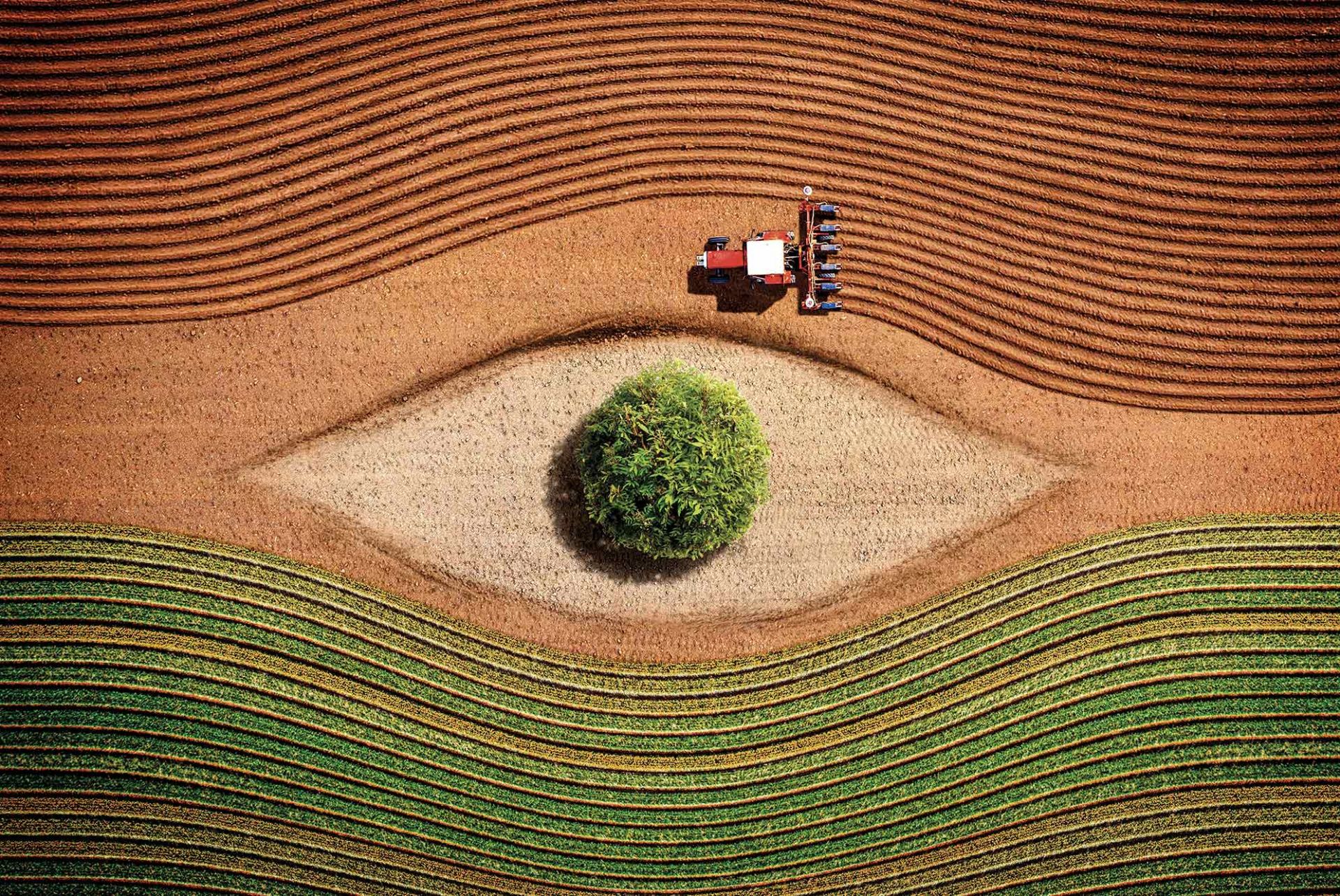 Home [www.seedfuturegroup.com]